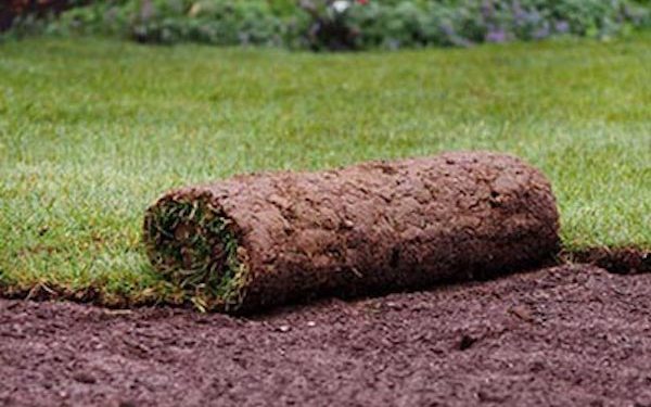 Bulk Topsoil Supplier | Tulsa, Sand Springs, Sapulpa OK : The Organic ...